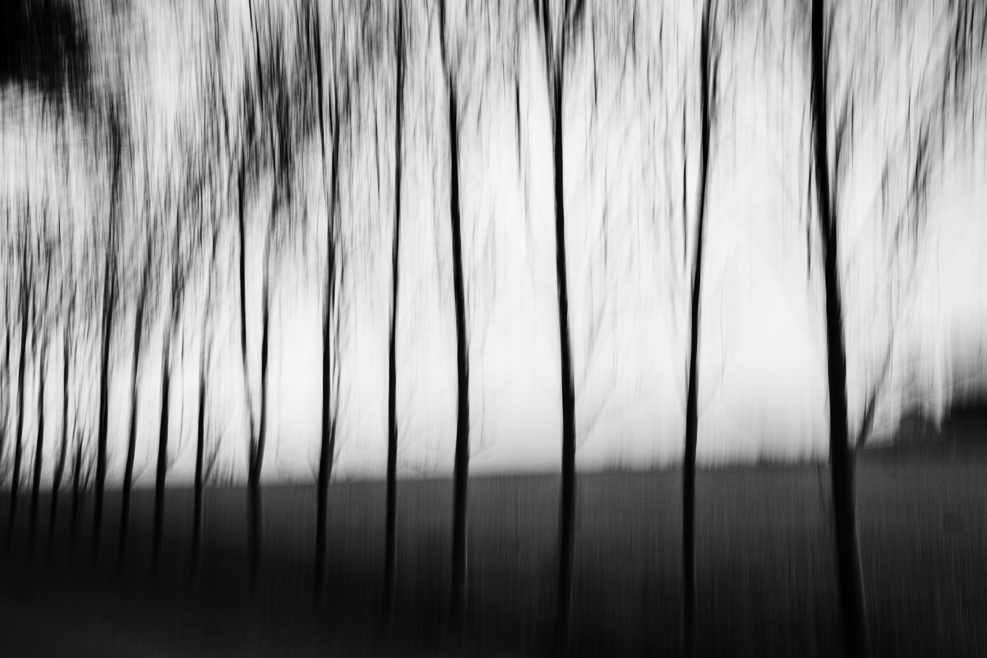 THE LEICA MEET - Facebook's largest Leica user community.