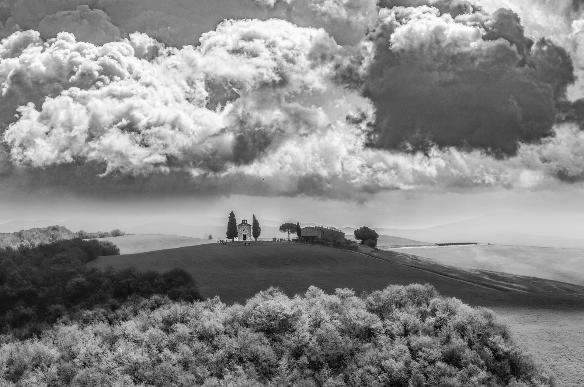 THE LEICA MEET - Facebook's largest Leica user community.