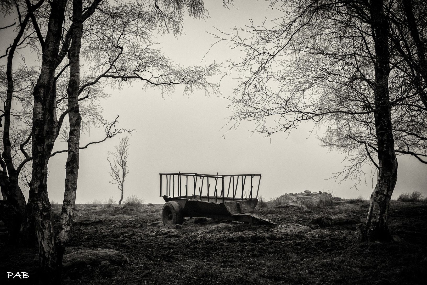 THE LEICA MEET - Facebook's largest Leica user community.