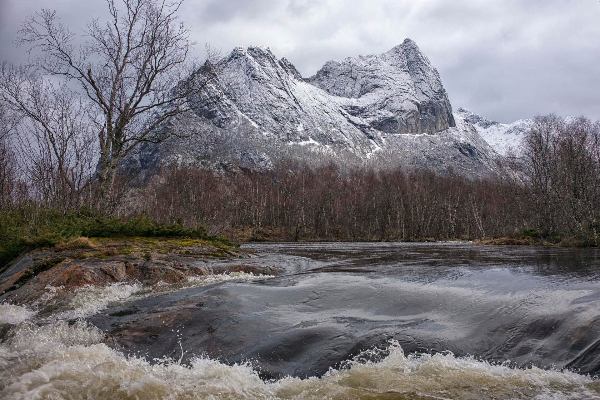 THE LEICA MEET - Facebook's largest Leica user community.