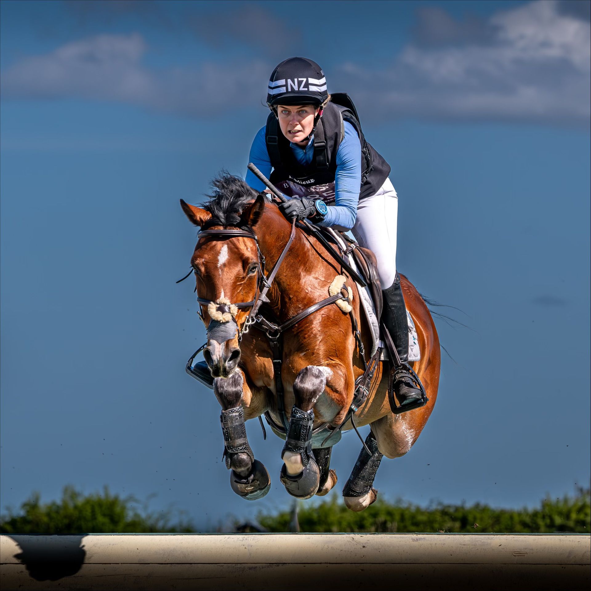 THE LEICA MEET - Facebook's largest Leica user community.