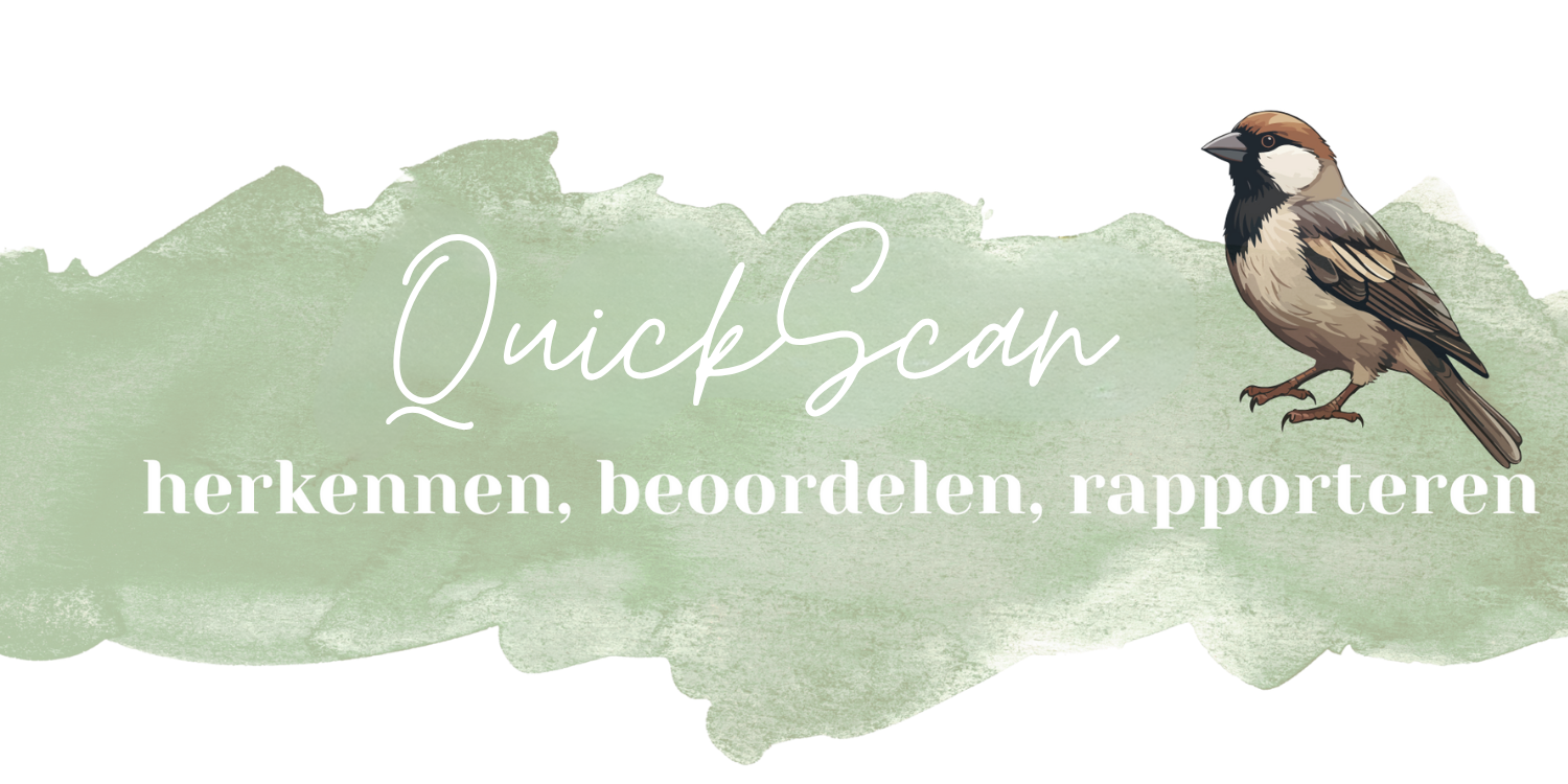 Cursus Quickscan – Verdieping Ecologie | Eco-Plan NL