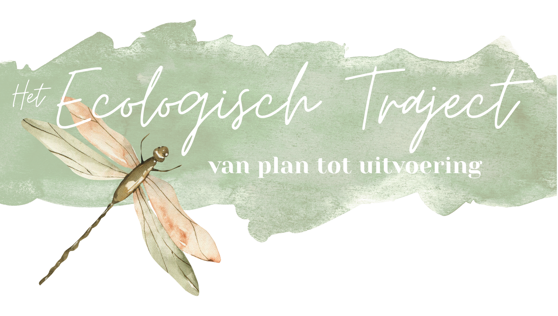 Cursus Het Ecologisch Traject – Basiskennis | Eco-Plan NL