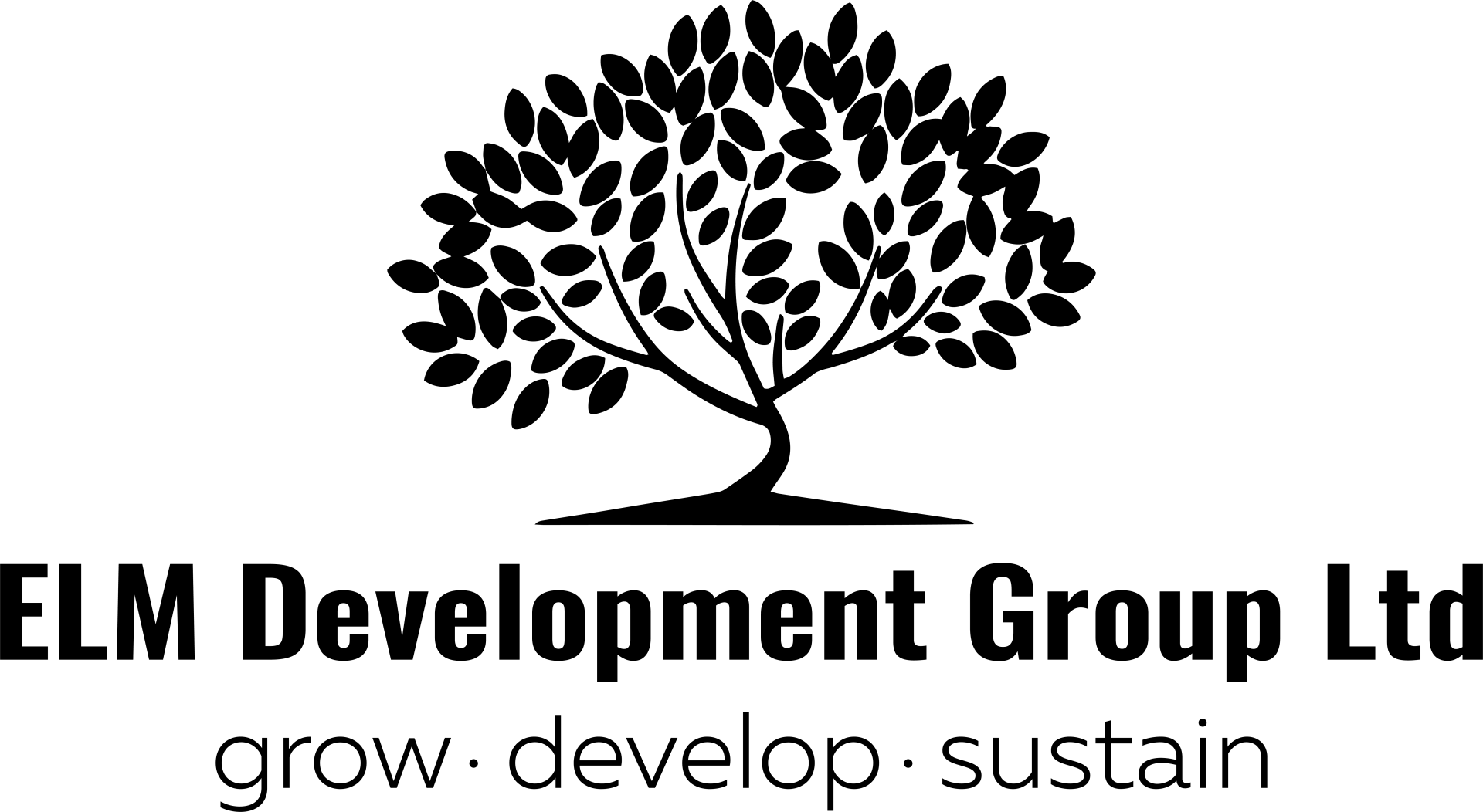 Home | ELM Development Group Limited