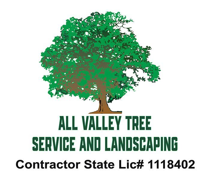 Certified Arborist | Tulare, CA | All Valley Tree Service