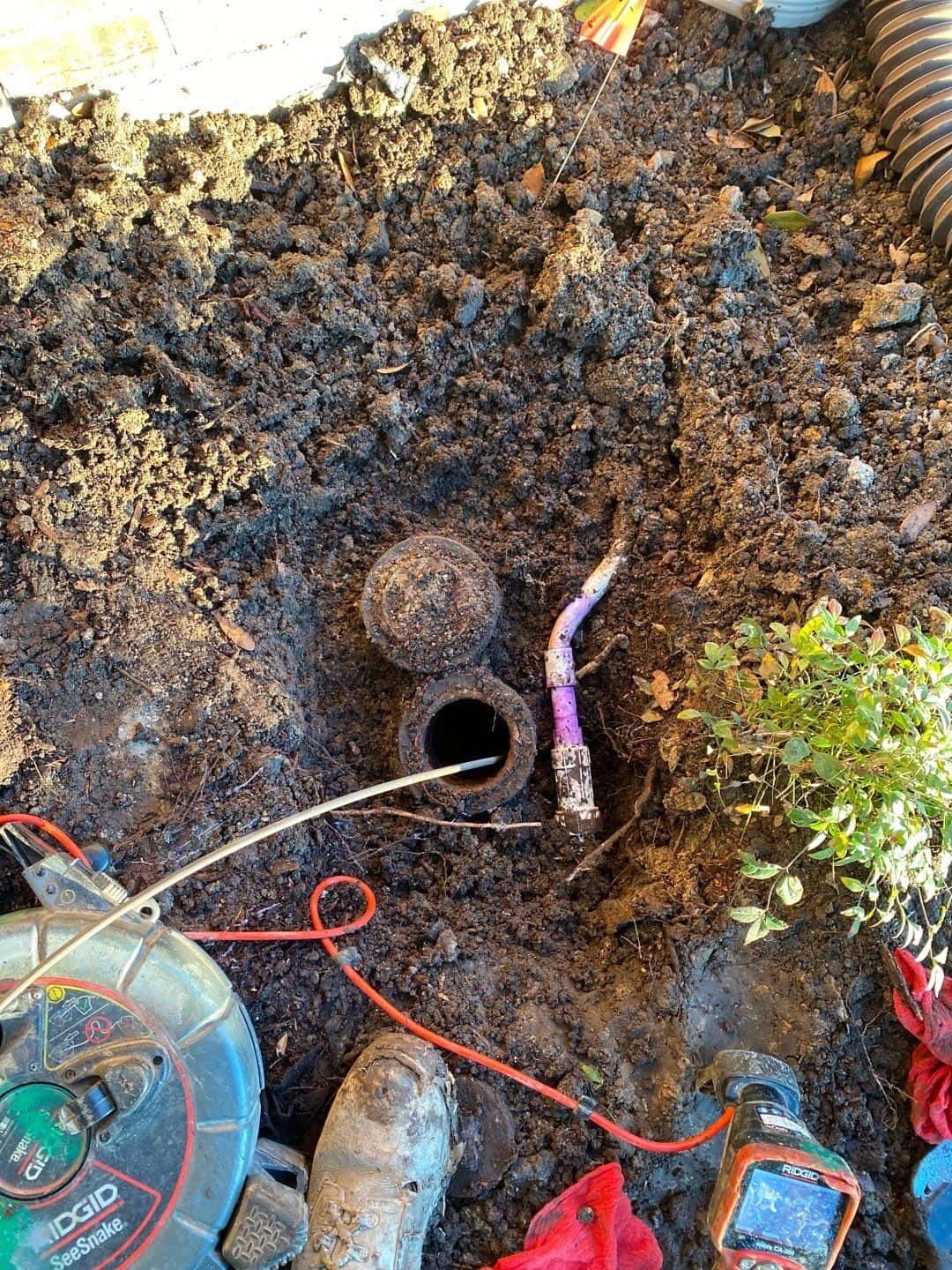 What is a Septic Tank Inspection, How much Does it Cost in Denver