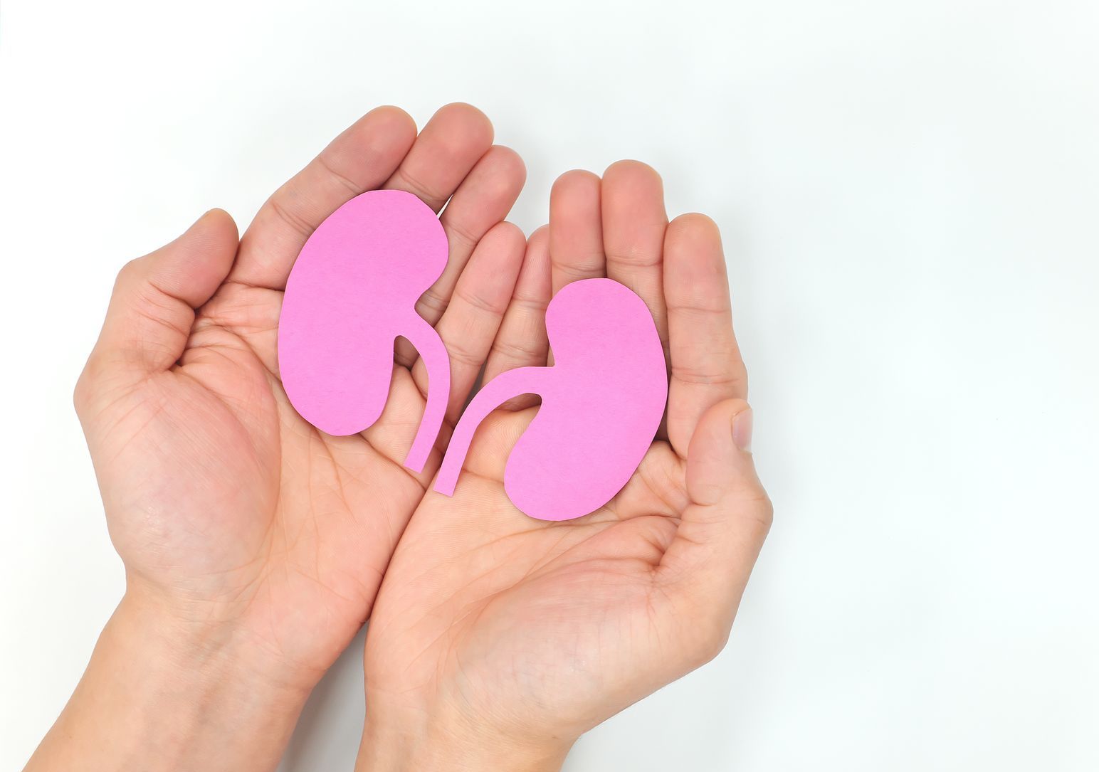 Entenda como é colocado o cateter duplo J no rim