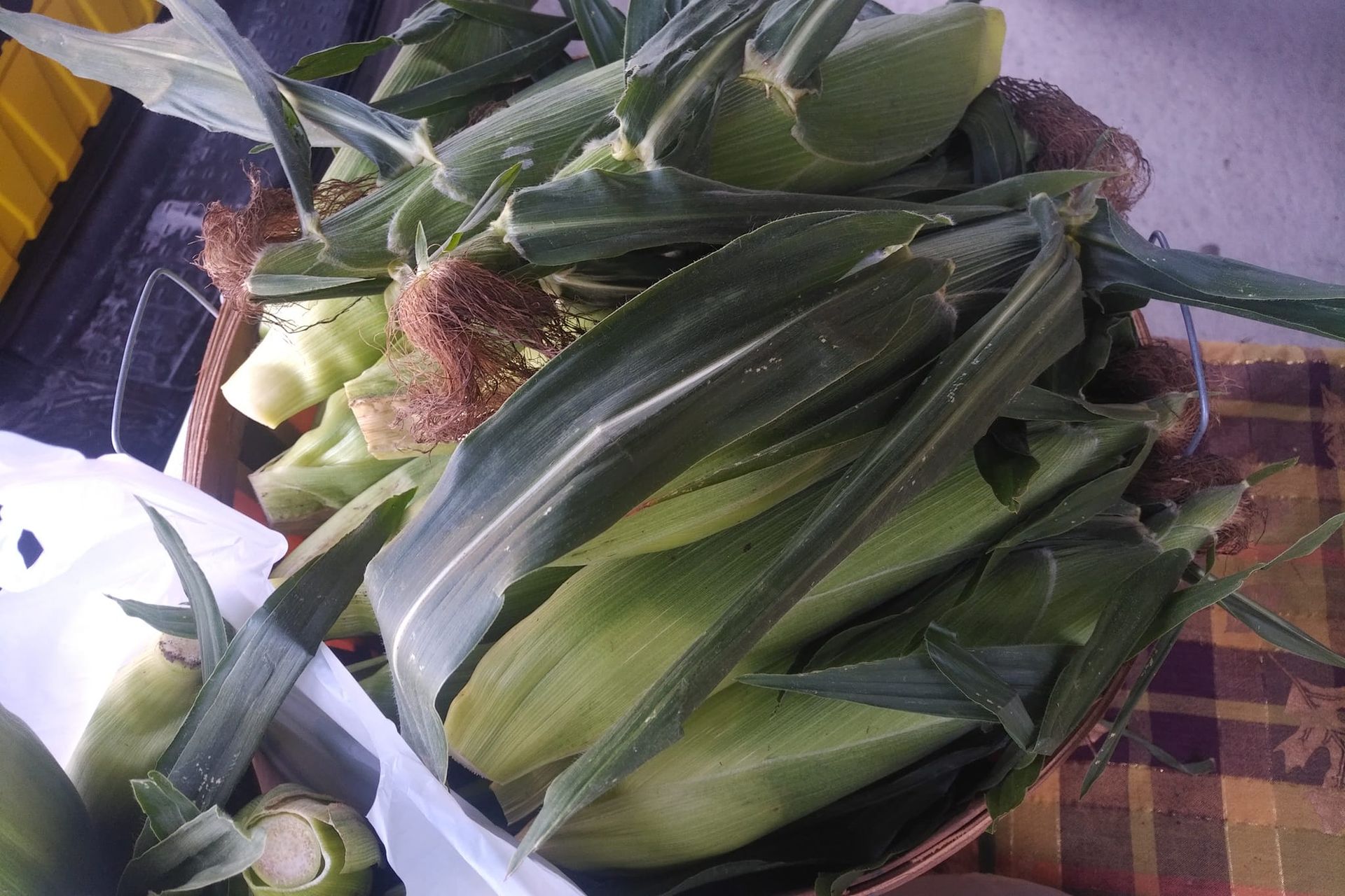 Flesherton and District Farmers' Market in Ontario