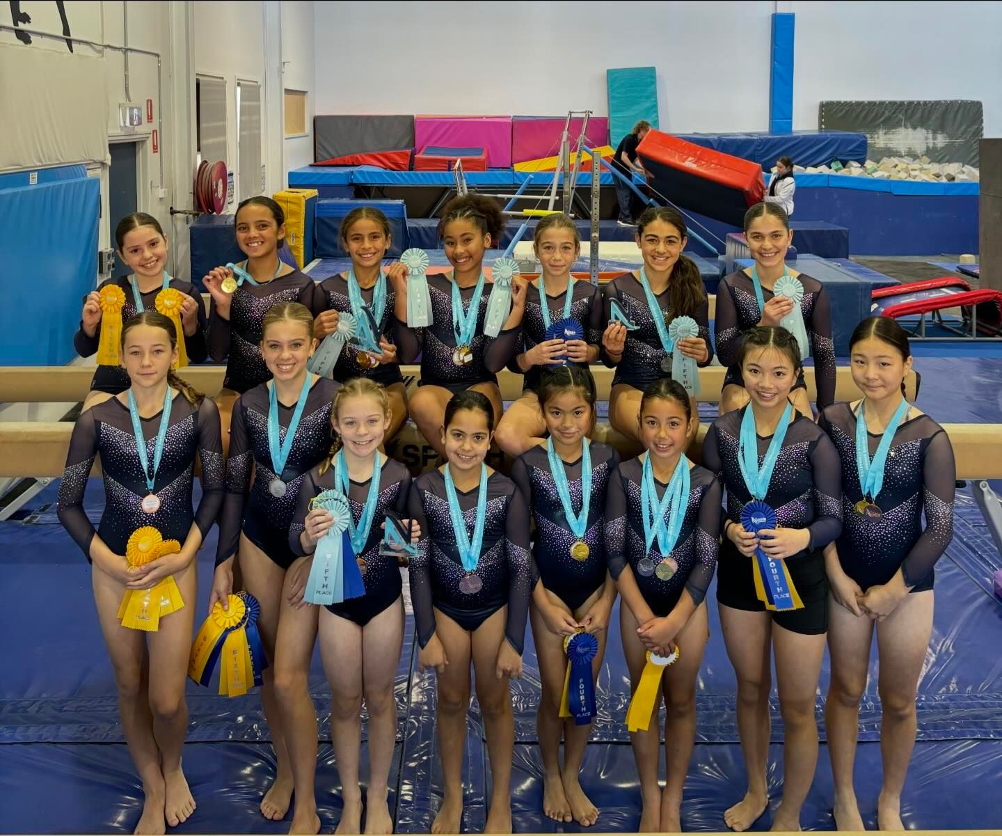 Niddrie Gymnastics - Essendon Fields