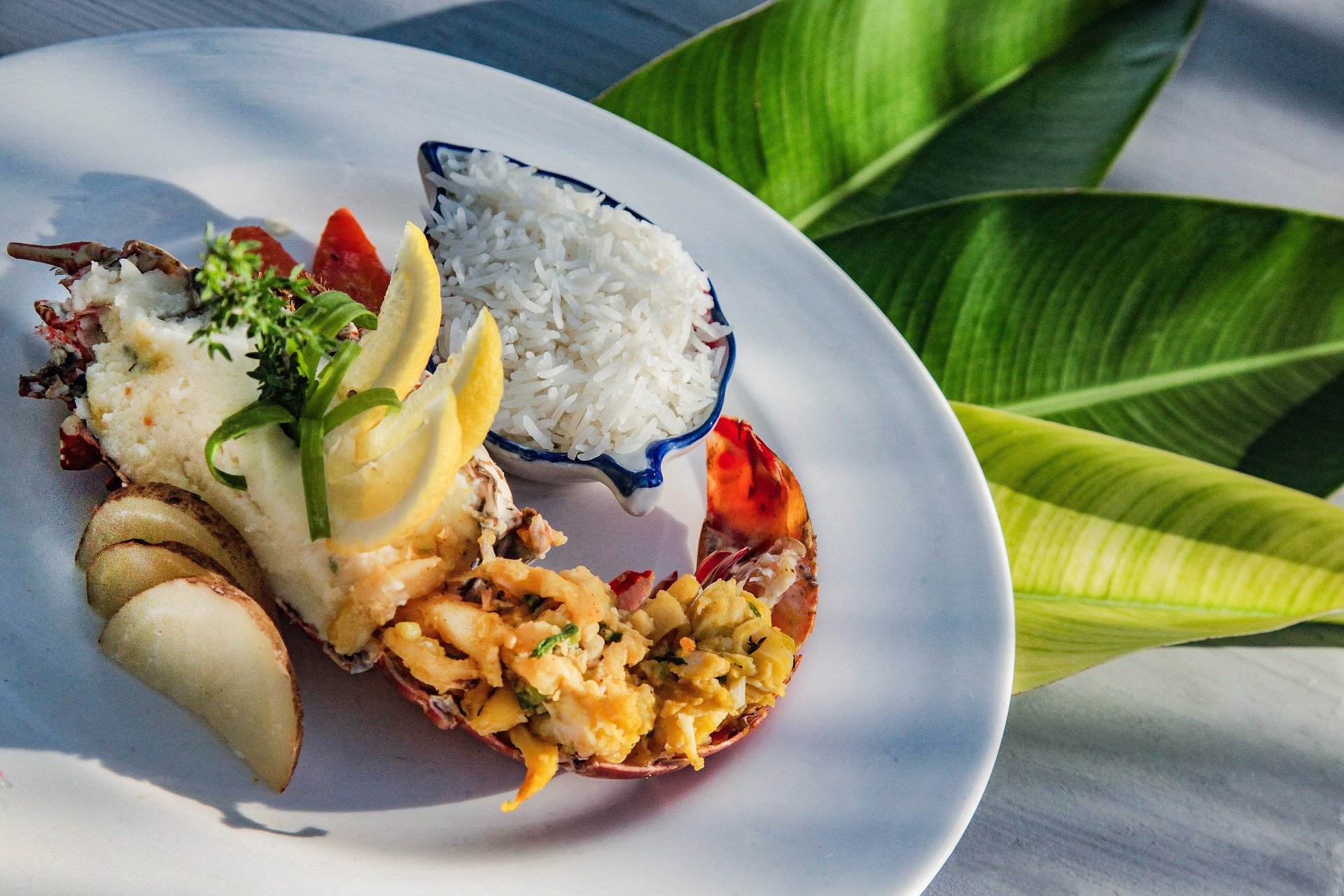 Dining | Conch Beach Cabins