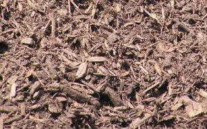 Trail Chips | State College | Online Mulch Ordering & Delivery
