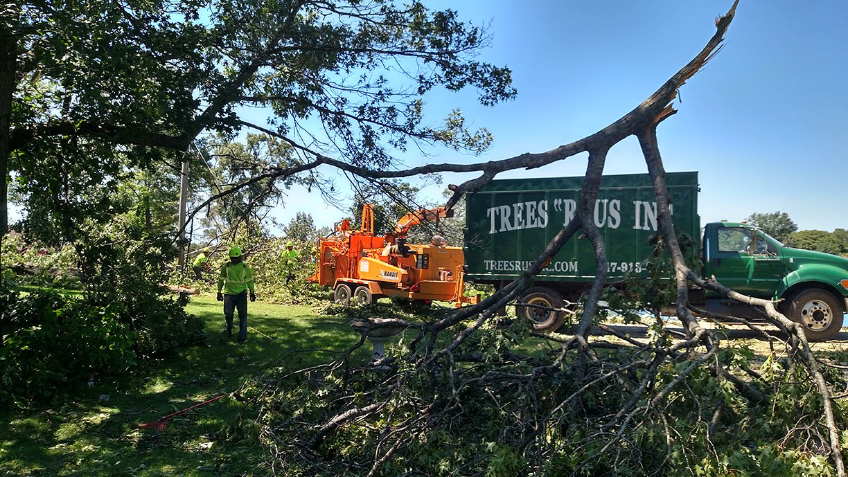 Tree Service Areas | Serving Illinois & Wisconsin | Trees R Us