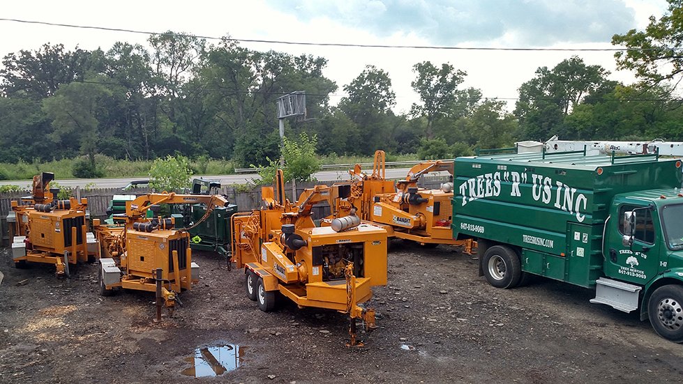 Tree Service Areas | Serving Illinois & Wisconsin | Trees R Us