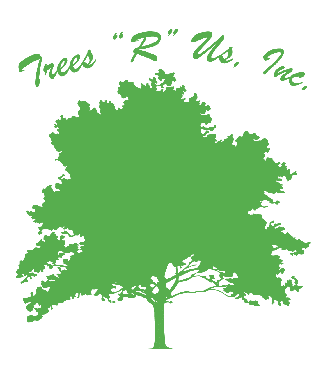 Professional Tree Care Services | Residential & Commercial | Trees R Us