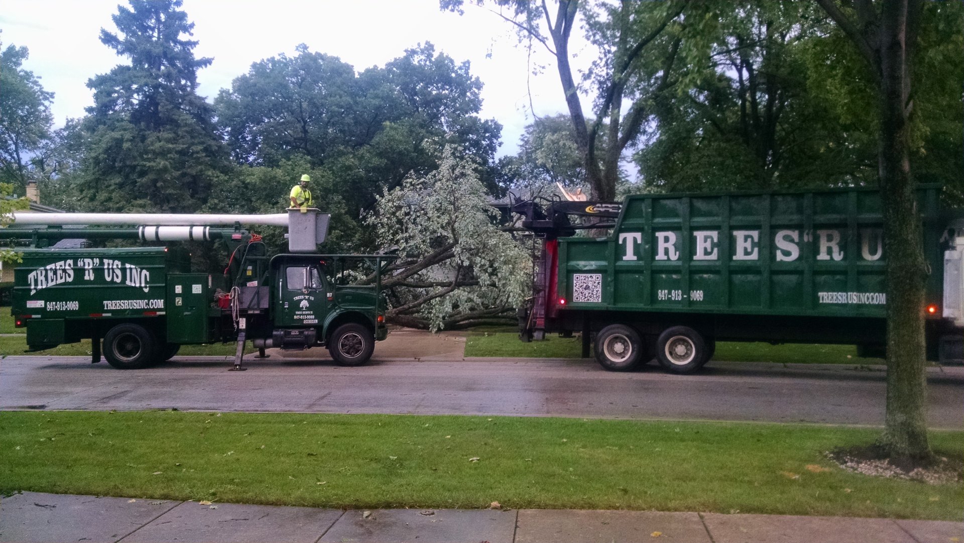 Tree Service Areas | Serving Illinois & Wisconsin | Trees R Us