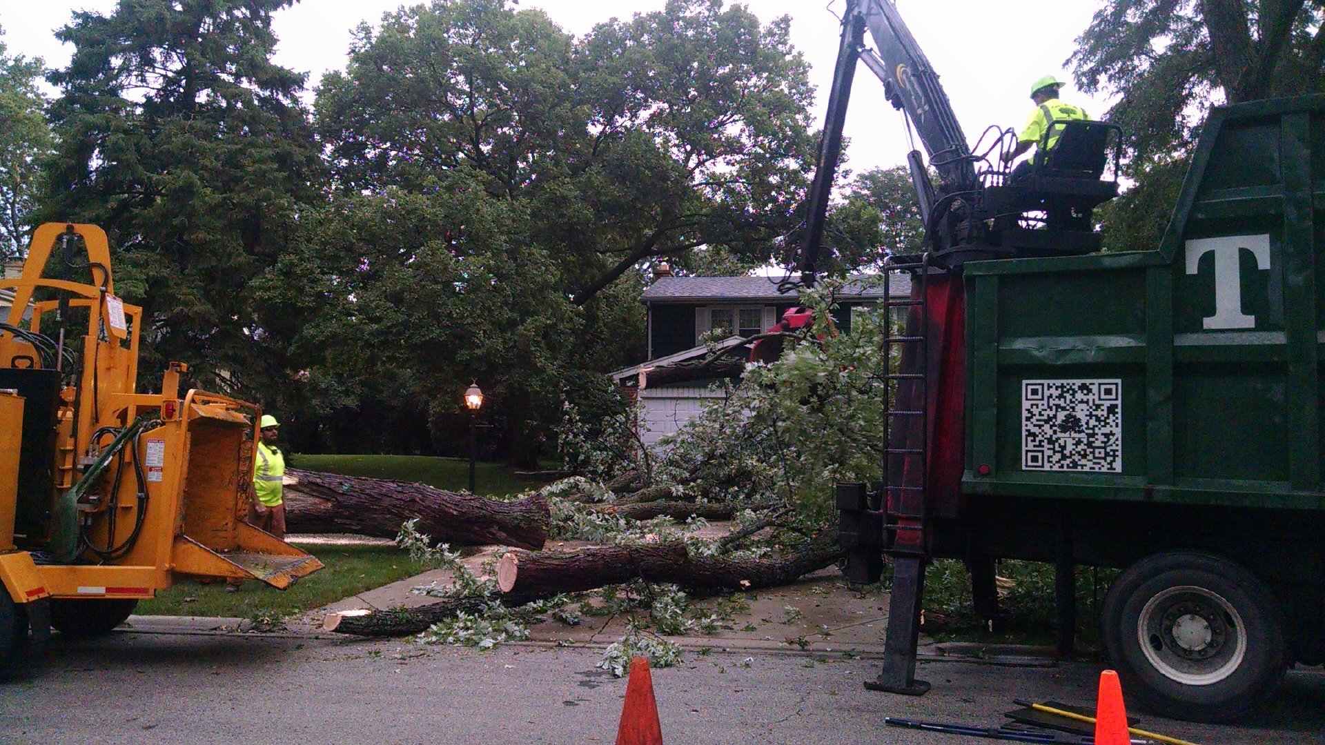 Storm Damage Tree Services | Emergency Cleanup | Trees R Us