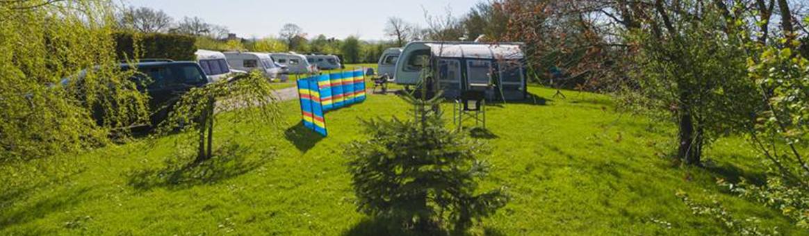 Campsite in Cheddar, Somerset | West Country Parks