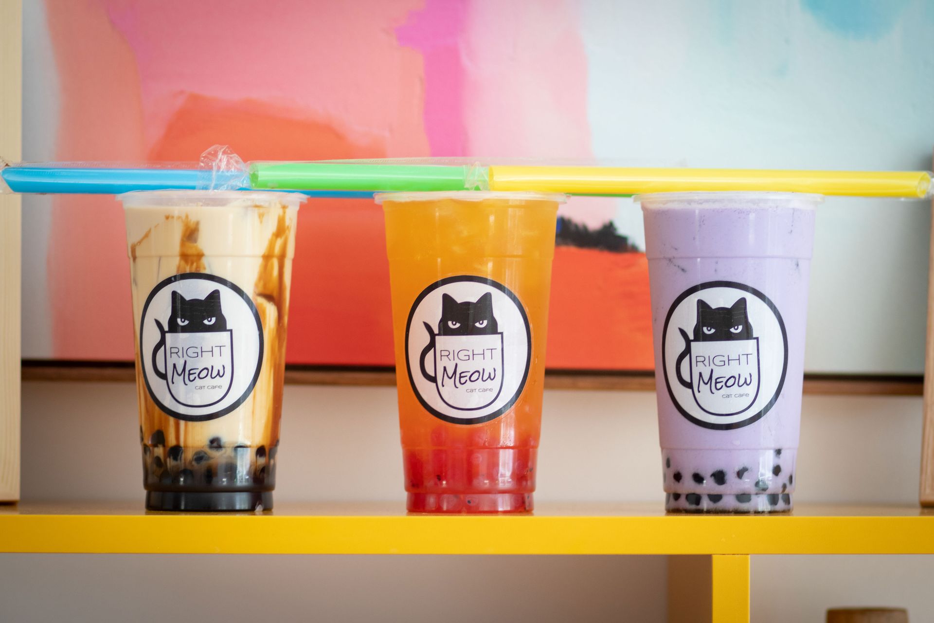 Home Page [rightmeowcatcafe.com]