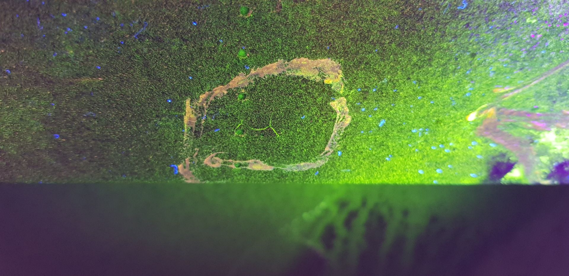 non-destructive testing services | Brescia | I&T Nardoni Institute