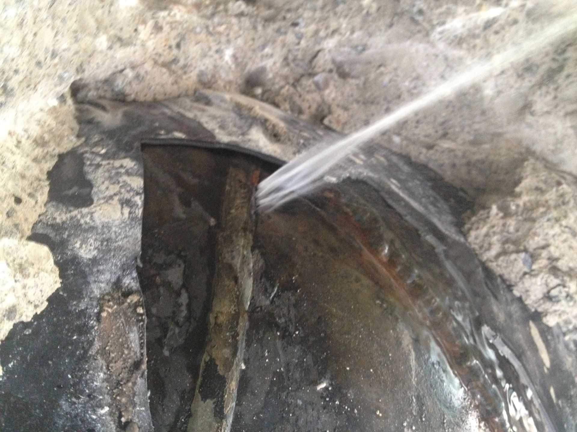 Servizi PND: metodo visivo | Brescia | I&T Nardoni Institute