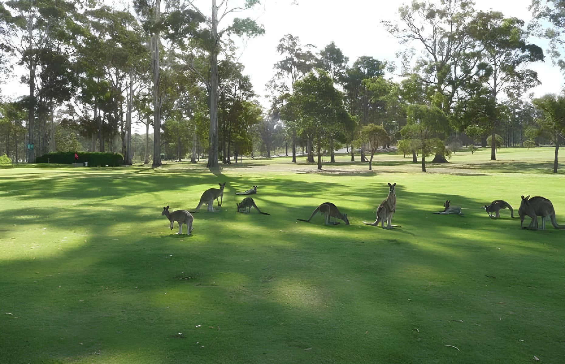 Local Attractions | Eden, NSW