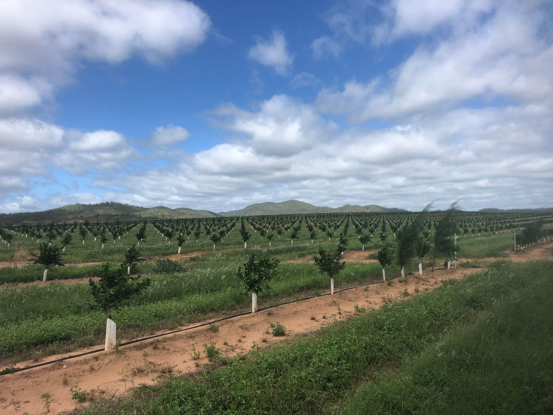 Irrigation Projects Queensland | Irrigation Specialists | Our Projects