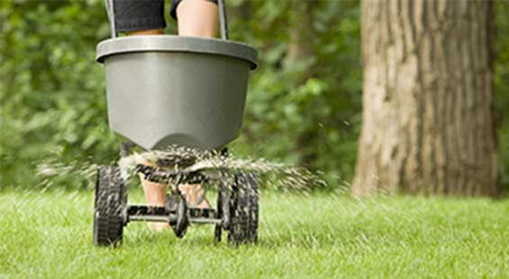 Pro Lawn Ltd | Repairs & Restoration | Ayrshire, Renfrewshire & Glasgow