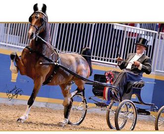 The AHHS - Meet the Hackney