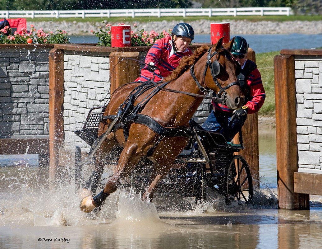 The AHHS - Meet the Hackney