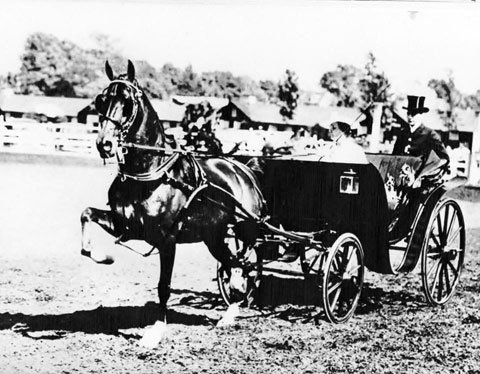 The AHHS - Meet the Hackney