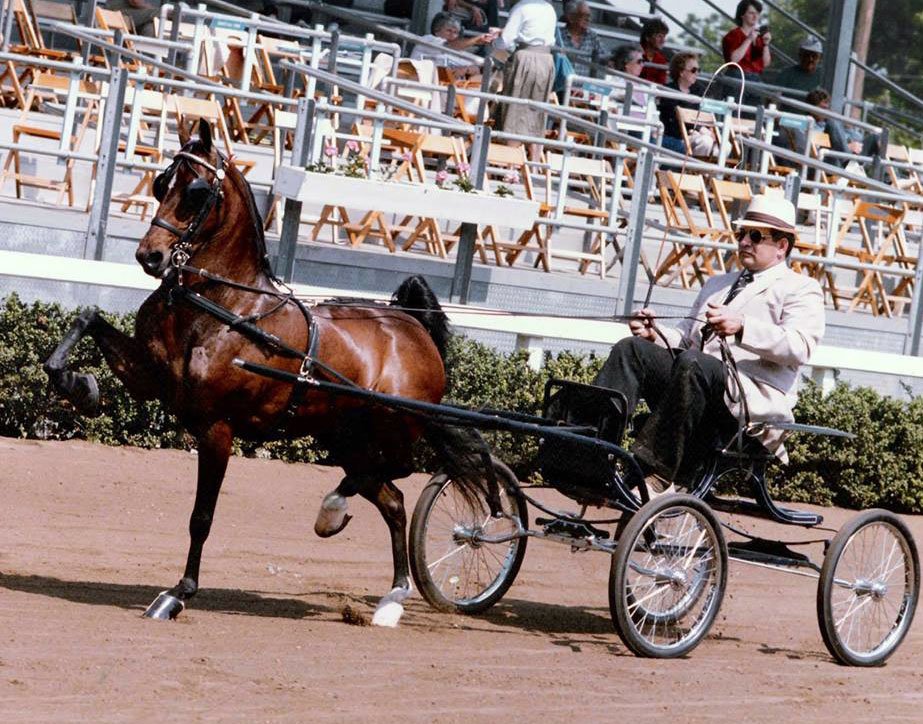 American Hackney Horse Society - Members