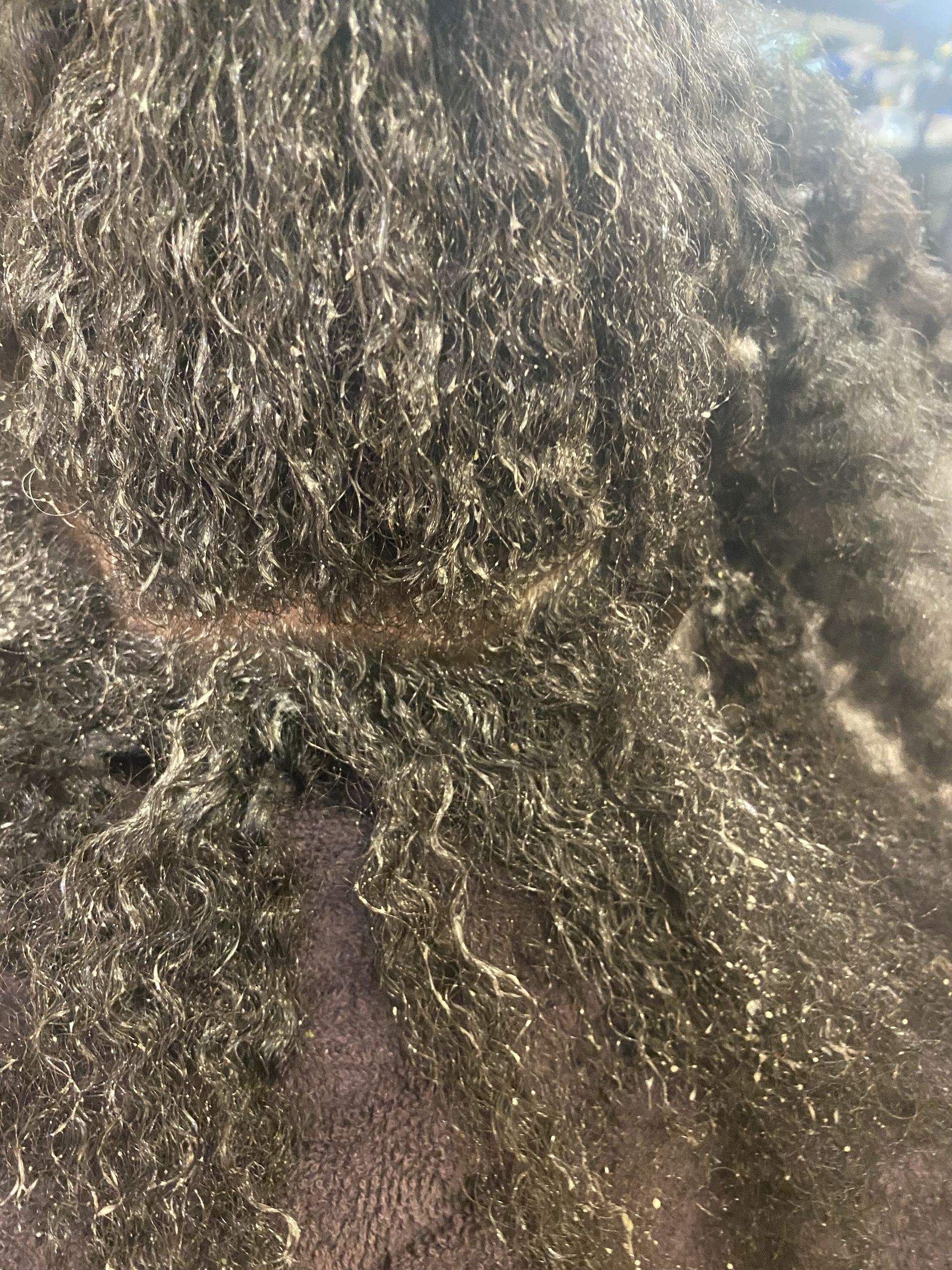 Portfolio | Owings Mills, MD | Imani Hair Salon