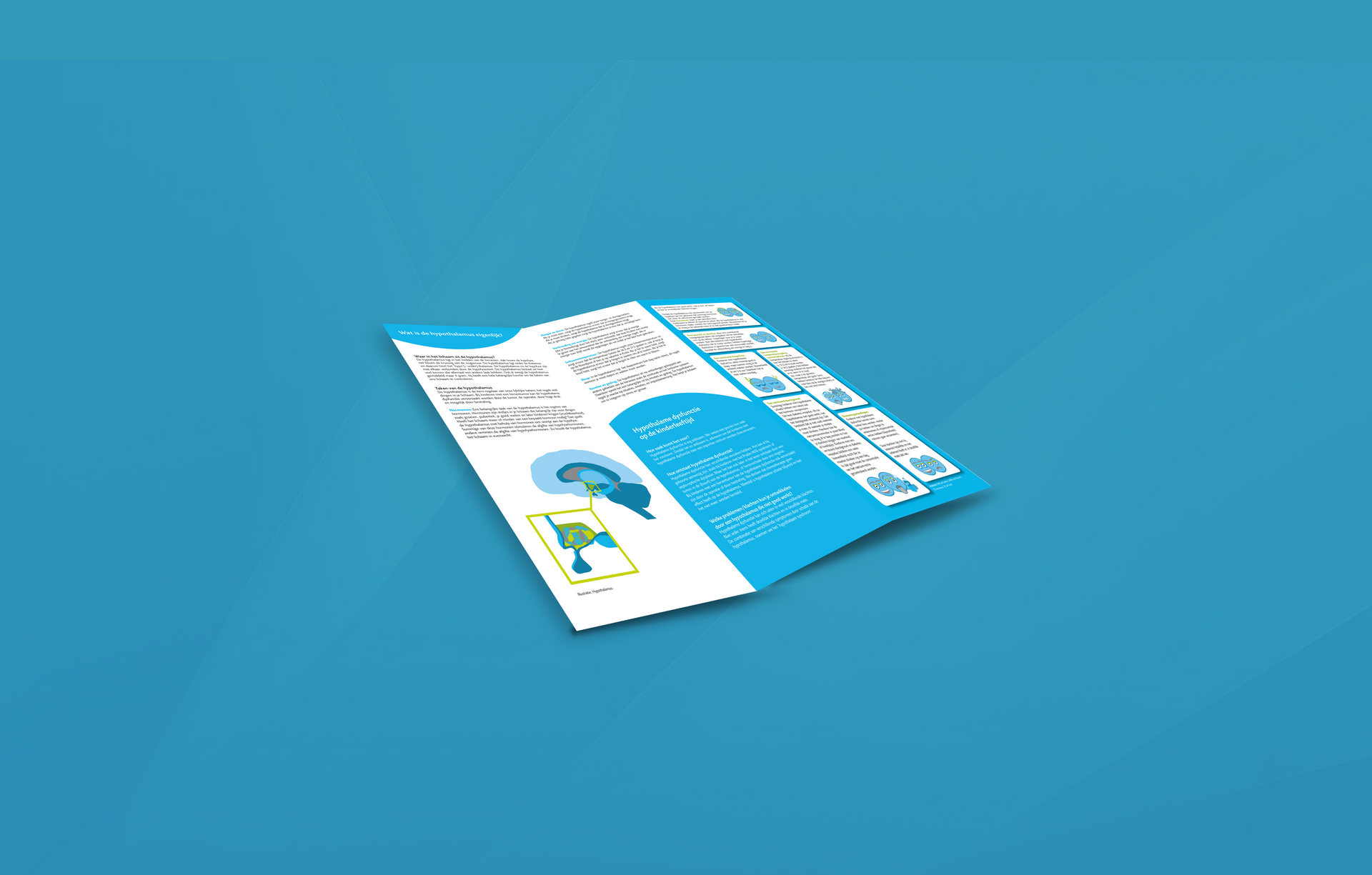 Esther de Boer, 5 beste projecten