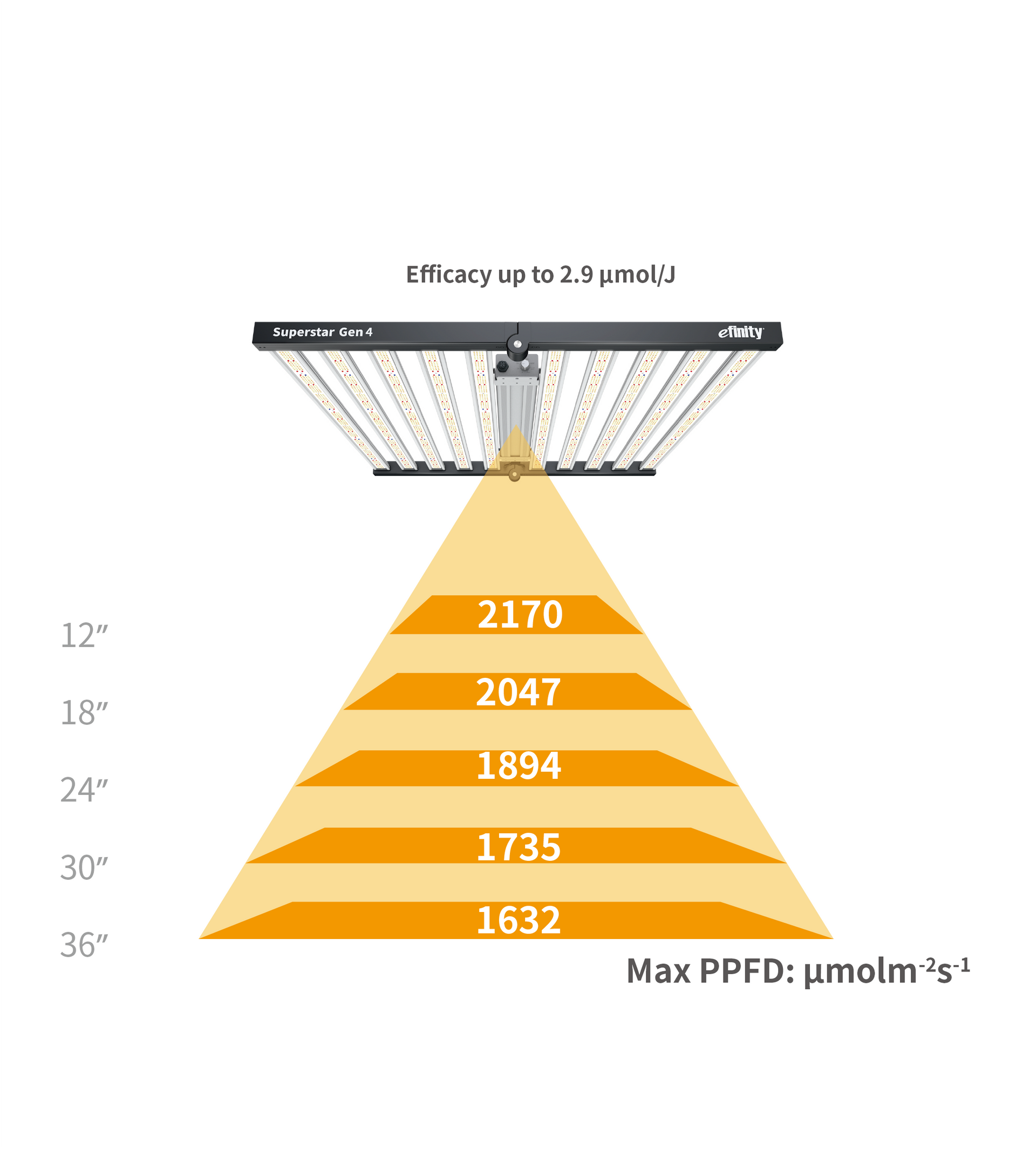 efinity - GROW ENLIGHTENED - Lighting