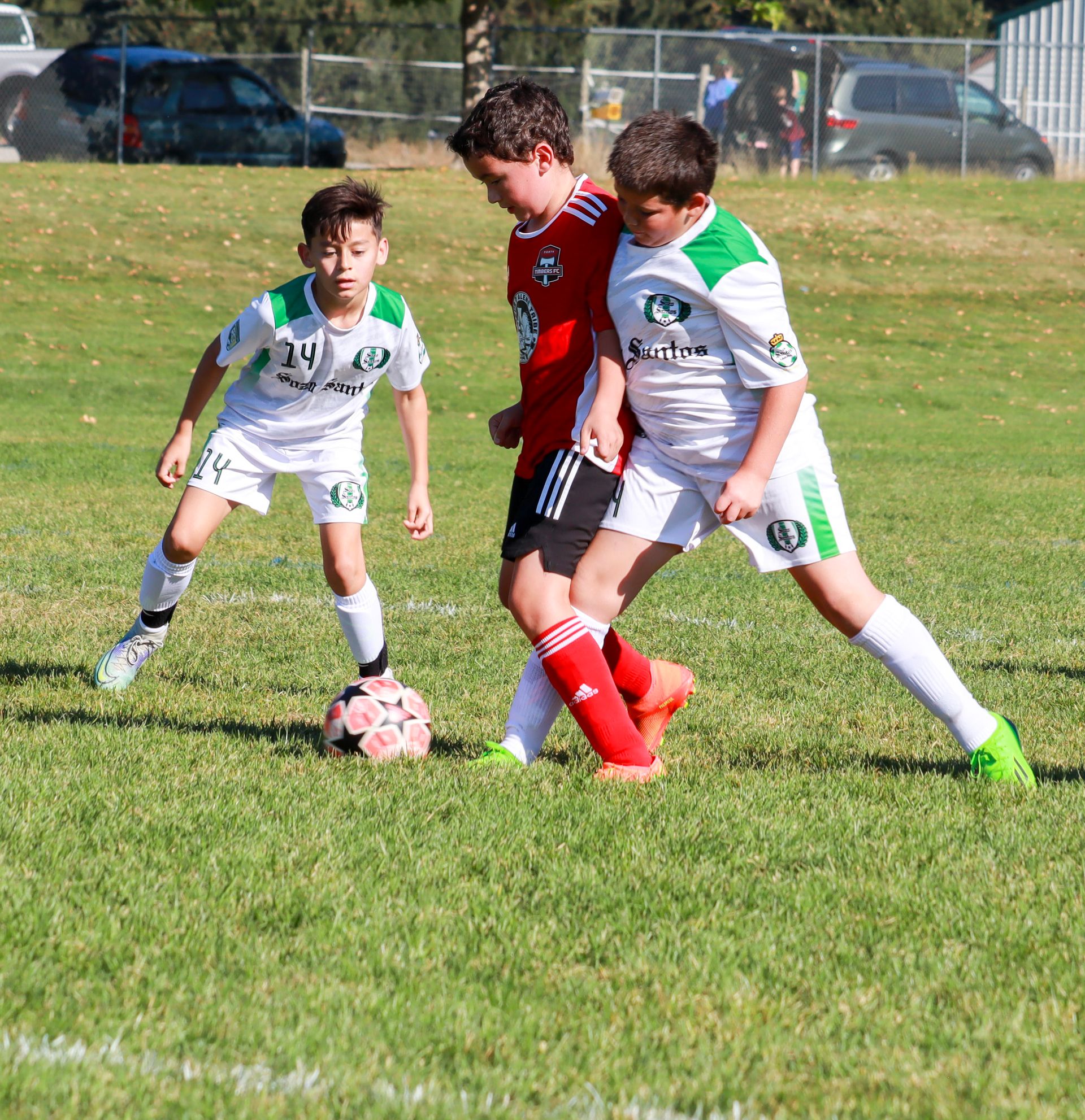 Photo Gallery | Sozo Sports Complex