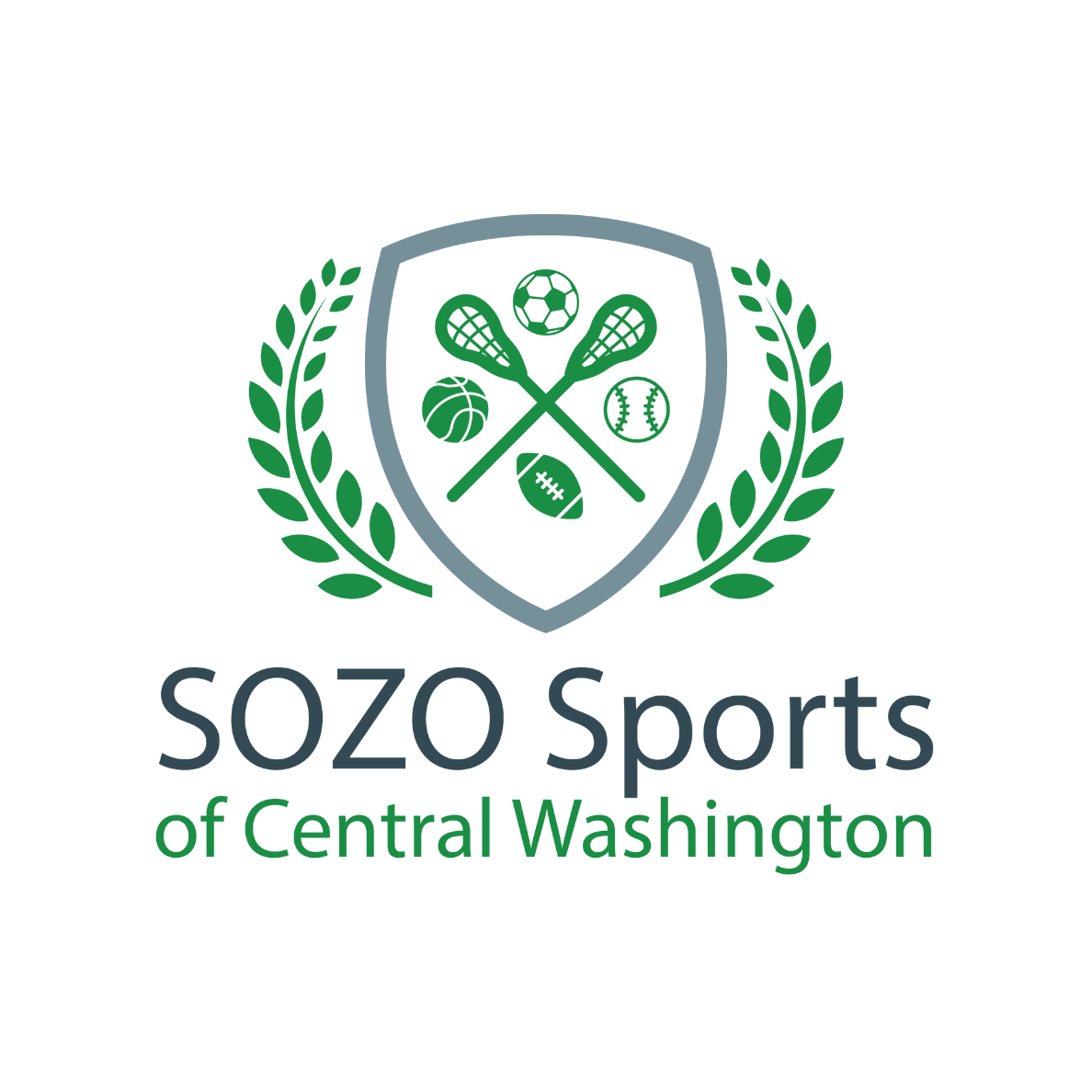 About Sozo Sports Complex | Non-Profit Sports Complex