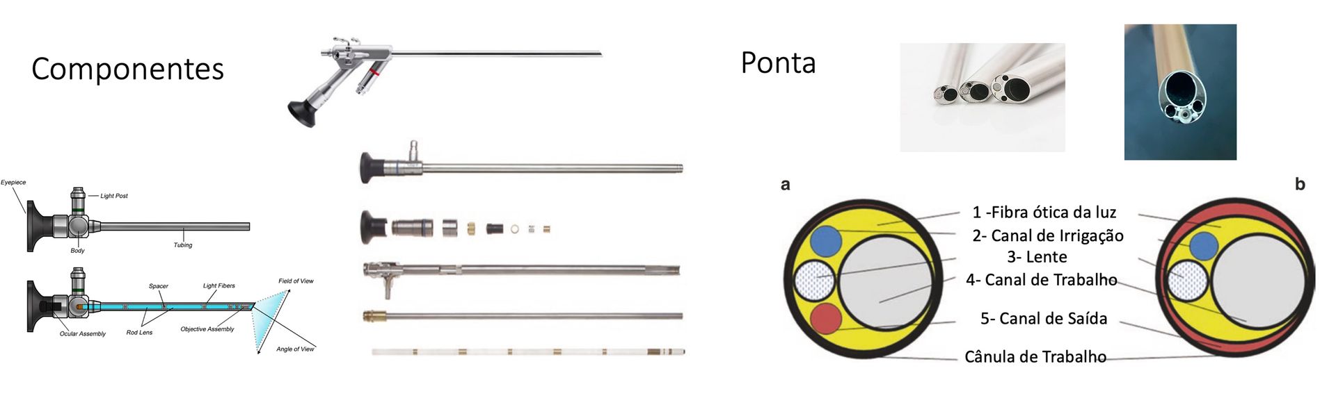 Endoscopia de Coluna | Dr. Ivan Rocha