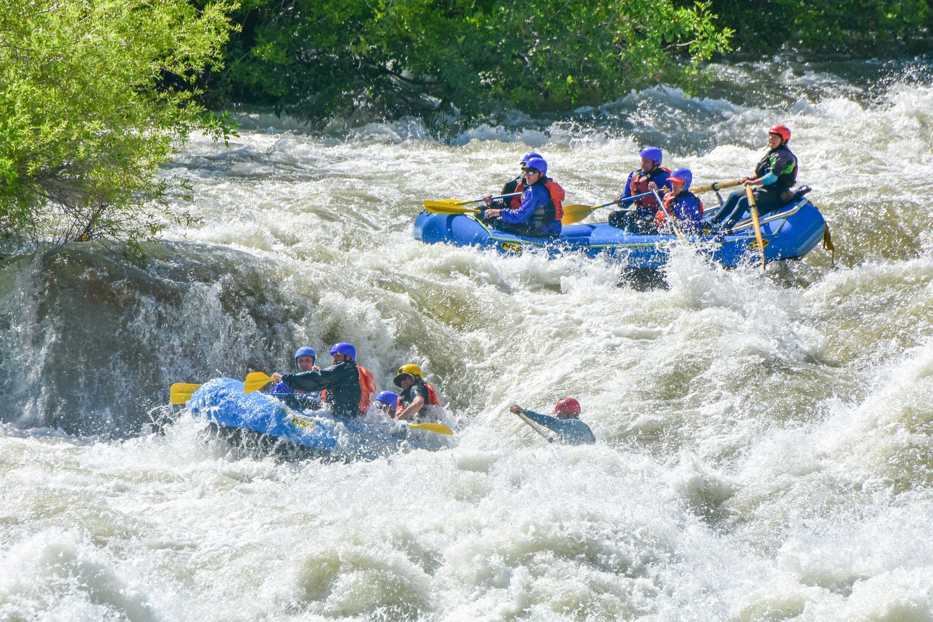 How to Choose Your Kern River Rafting Trip