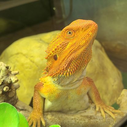 Pet Store | Eau Claire Area | 715-832-0174