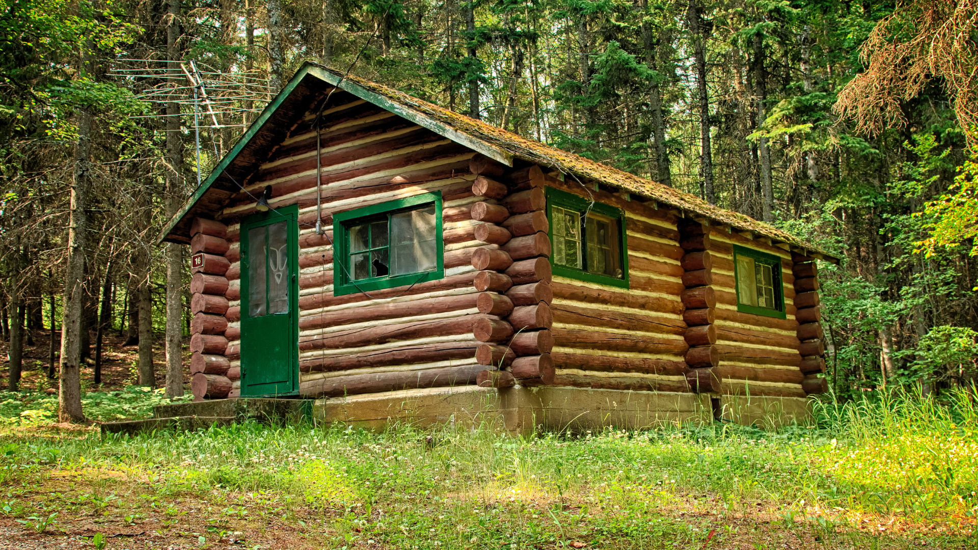 Log Cabin Building Tools | USA | Kingsbridge Supply
