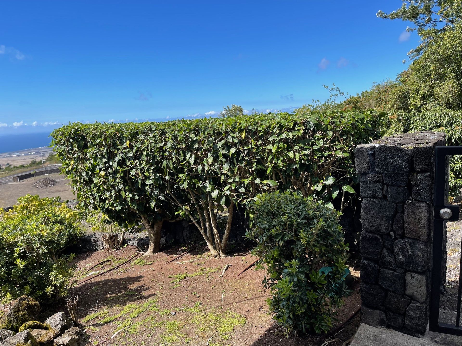 Professional Landscape Services | LB Landscaping Solutions LLC