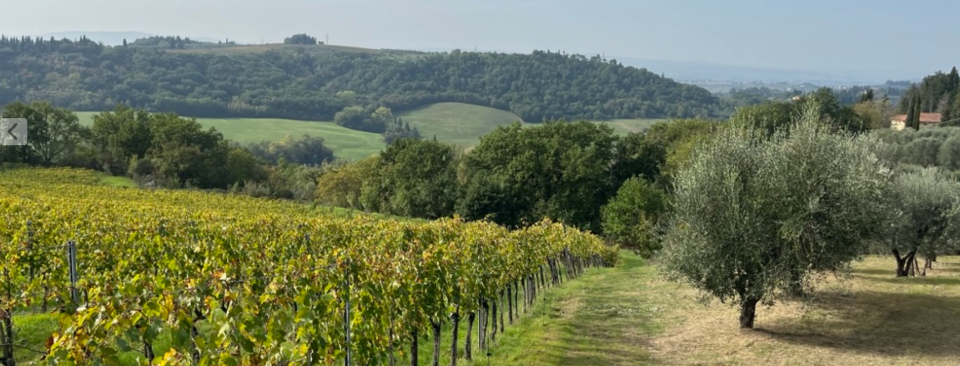 HOME [www.ourtuscanfarm.com]