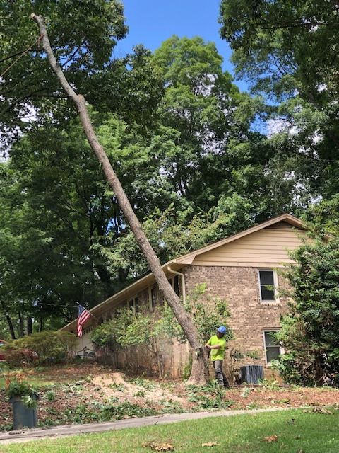 View Our Gallery | Gainesville, Georgia | Gordon Pro Tree Service