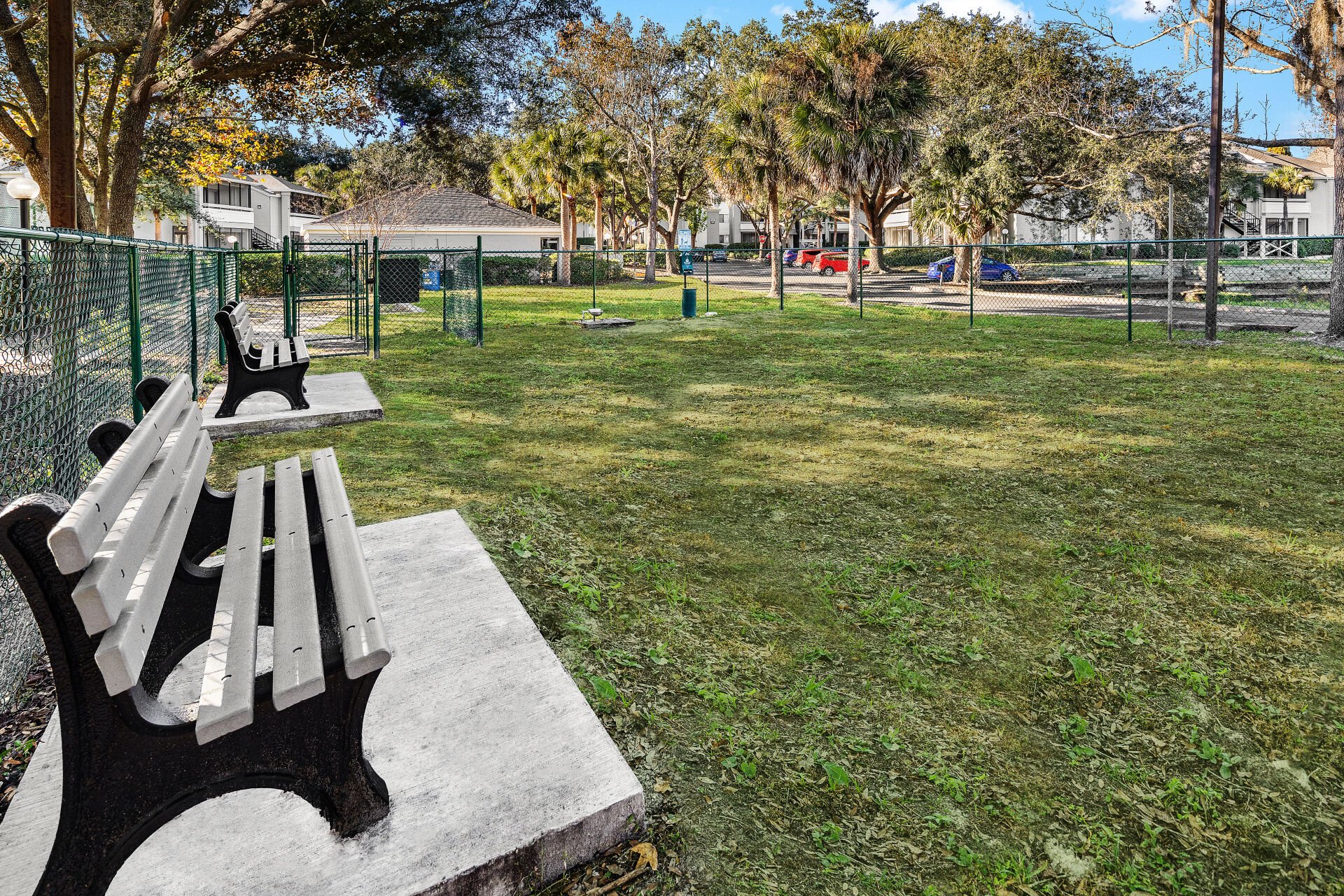 Gallery | Pet Friendly Apartments in Orlando