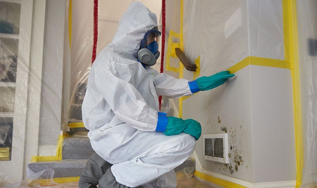 Mold Remediation | Madison Taylor Indoor Environmental