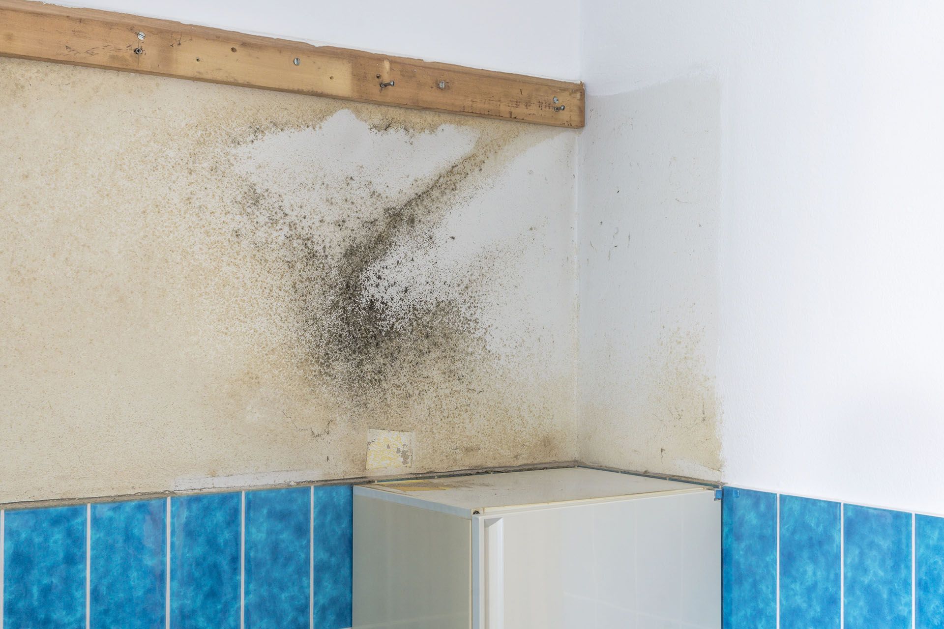 What Causes Rising Damp and How Can You Treat It