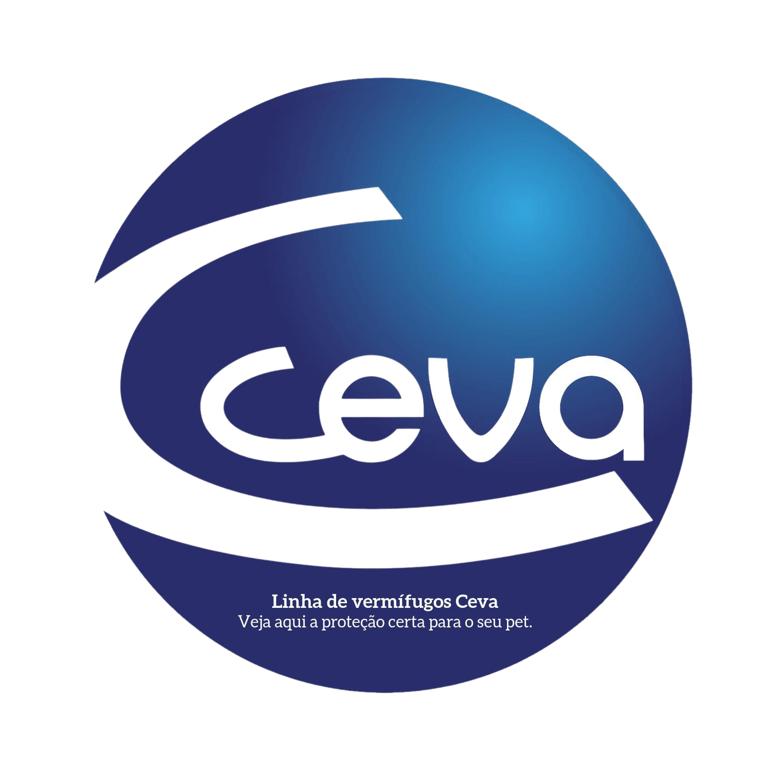 Especialistas em produções audiovisuais