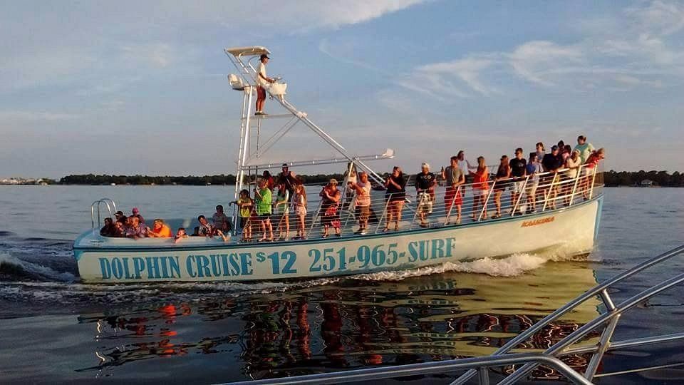 TOP 10 BEST DOLPHIN CRUISES IN ORANGE BEACH | GULF SHORES