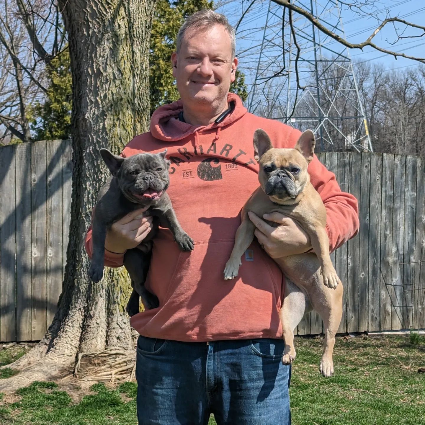 Dog Training Photos | Southeastern MI