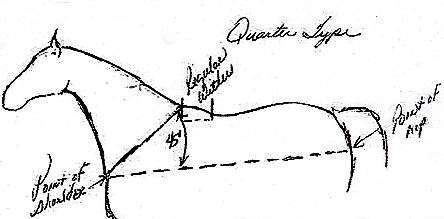 Saddle Pads & Blankets